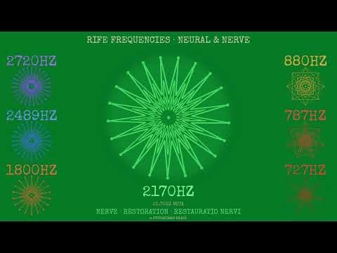RIFE FREQUENCIES · NEURAL & NERVE · 2720HZ 2489HZ 2170HZ 1800HZ 880HZ 787HZ 727HZ · SACRED GEOMETRY