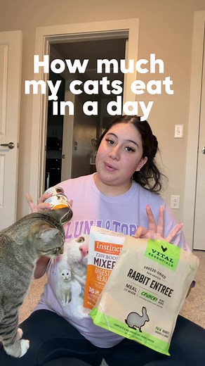 Let’s talk calorie counting for your cats! A typical adult cat that weights 8-10 lbs will be within the 180-220 range for calories if they are not super active (like Luna). Kittens on the other hand have a extremely high calorie requirement and require more food feedings to meet those requirements. Four things to consider 1. What breed is your cat? 2. How active are they? 3. How much do they weigh? 4. How old are they? These four things are usually what will give you a more accurate calorie coun