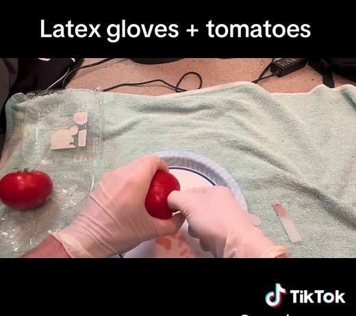 Latex gloves tomatoes asmr 1.0 #asmr #pureglovesasmr #medplay #glovesounds