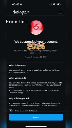 Instagram Account Recovery Assistance and Tips