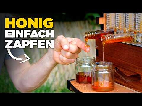 Flow Hive: From beginner to beekeeper – Our honest experience!