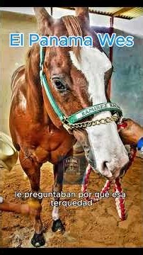 El Panamá Wes | Le ganó al Cadete y fue a Ennis vs El Gato