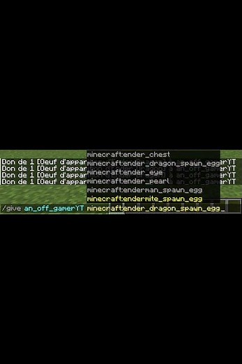 🔴🔵Comment faire spawn le dragon de l'ender dans l'overworld 🥶😱👌🔥 🔵🔴