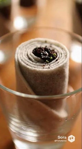 This Viral Seed Hack Will Blow Your Mind