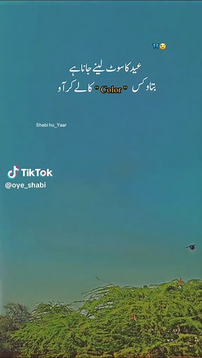 Understanding TikTok Engagement Issues