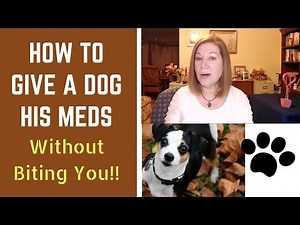 How to Give a Dog His Medicine | EASY! Guaranteed Success | No Biting!