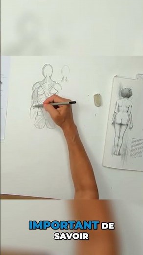 Comprendre l'Anatomie: Muscles de l'Avant-bras à l'Élasticité