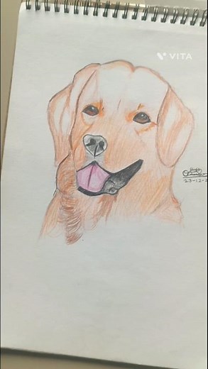 Cute Dog Drawing 🐶❤️ | Easy Puppy Sketch (So Adorable 😍)# #art drawings#puppies