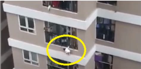 Un Repartidor Salva A Una Niña Que Cayó De Una Altura De 12 Pisos