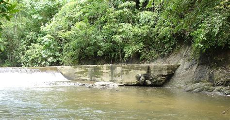 Sistema De Tratamiento Del Agua Bocatoma