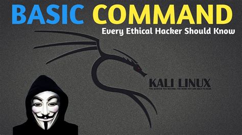 kali linux commands 2023 kali linux for begainers kali linux