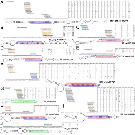 High Throughput Sequencing Hts Data And Structure Based Download