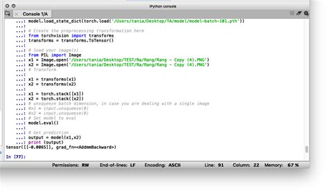 using model pth pytorch to predict image pytorch forums