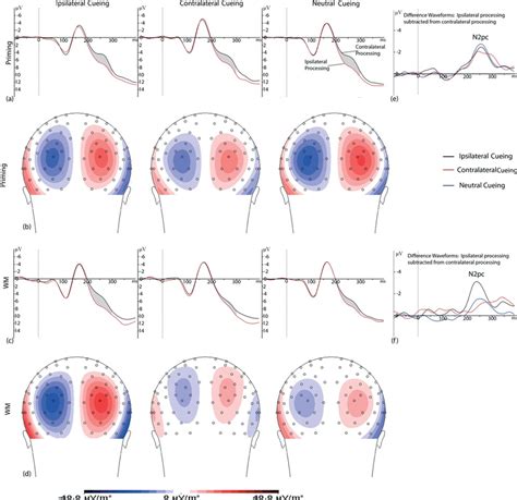 Grand Averaged Waveforms For Contralateral And Ipsilateral Target