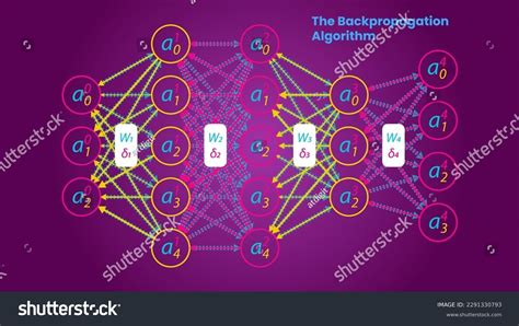 The Backpropagation Algorithm Illustration Royalty Free Stock Vector