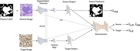 Network Structure Of Adversarial Learning For Domain Adaptation