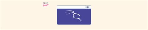 Kali Operating System Scaler Topics