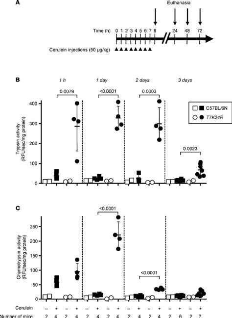 Intrapancreatic Trypsin And Chymotrypsin Activity In T7k24r Mice Given