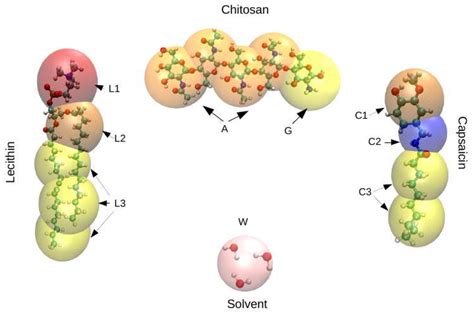 Schematic Representation Of The Coarse Grained Models Adopted In This
