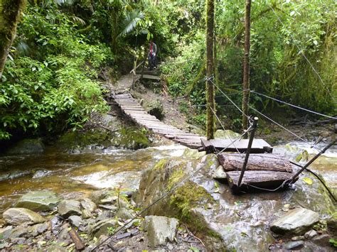 cocora valley colombia gallery