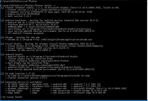 assertionerror package flutter src widgets app dart failed