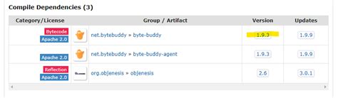 mockito on jdk16 and mac os could not initialize plugin