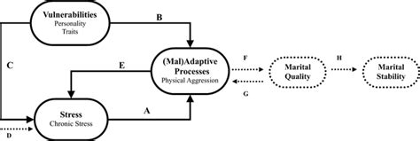 Using A Vulnerability Stress Adaptation Framework To Predict Physical
