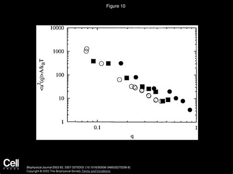Bridging Microscopic And Mesoscopic Simulations Of Lipid Bilayers Ppt