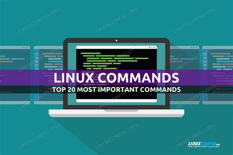 Linux Commands Top 20 Most Important Commands You Need To Know