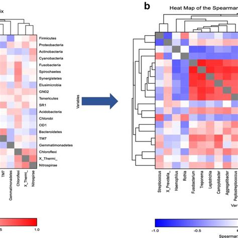 The Heat Map Of Spearmans Correlation Matrix At Phylum A And Genera