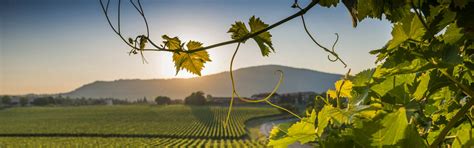 simple slider plugin for jquery examples