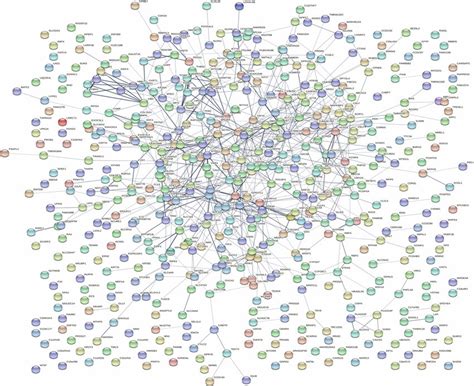 Protein Interaction Networks Of Differentially Expressed Genes