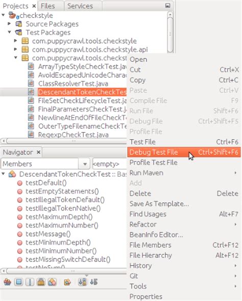 checkstyle importing and debugging in netbeans ide