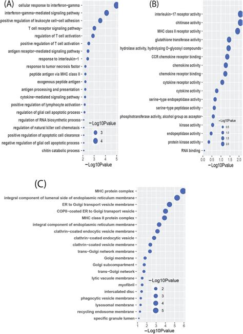 The Bubble Plot Of Ontological Analysis Of Shared Degs Between Ad And