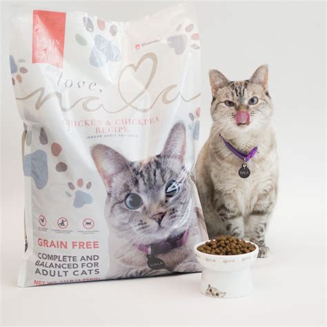 Transitioning Your Cat To Love Nala Food A Guide Love Nala