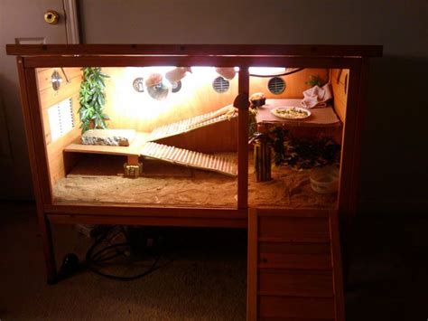 Diy Bearded Dragon Cage Bearded Dragon Tank Setup Diy Bearded Dragon