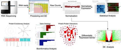 Frontiers Genecloudomics A Data Analytic Cloud Platform For High