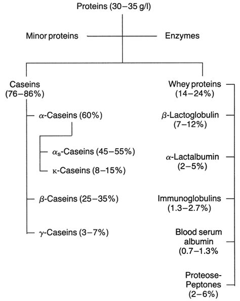 Milk Composition And Microbiology Milk Composition