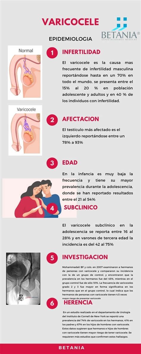 Varicocele EpidemiologÍa Anatomía Del Esqueleto Humano