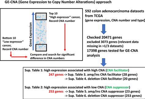 Identifying Genes Associated With Copy Number Alterations In Colon