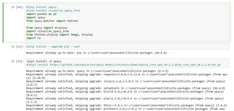 python getting error while loading spacy en core web sm library