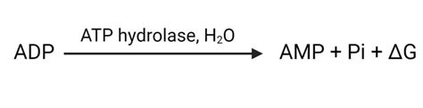 Atp Definition Structure Production Synthesis Functions