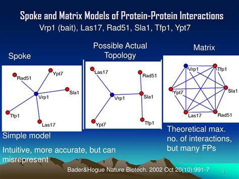 Ppt Biomolecular Interaction Enzyme Substrate Powerpoint