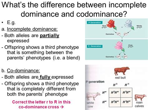 codomiance in genetics refers to incomplete dominance codominance