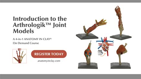 Introduction To The Arthrologik™ Joint Models