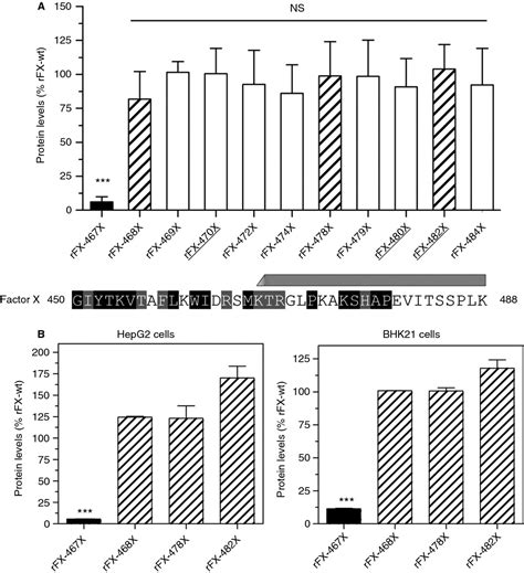 The Carboxyl‐terminal Region Is Not Essential For Secreted And