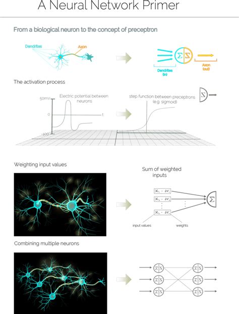 basic concepts of neural networks the building block of a neural