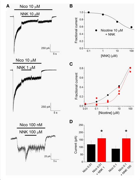 The Effect Of Nnk On α4β2 Nachrs In The Presence Of Nicotine A