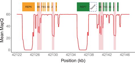 Wgs Data Quality In Cyp2d6 Cyp2d7 Region Mean Mapping Quality Red