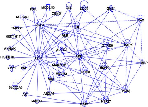 The Ingenuity Pathway Analysis Ipa Generated Network Of Isobaric Tag